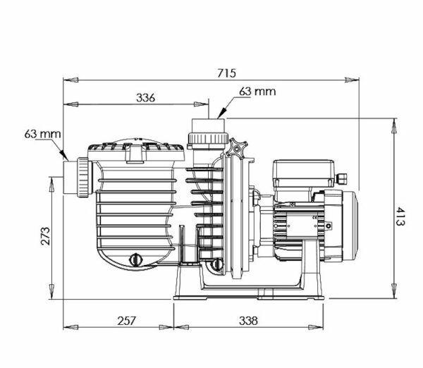 Sta-Rite 5P6R Swimming Pool Pump - Swimming Pool Pump - Pool Pumps